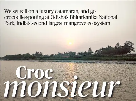 Croc monsieur - PressReader
