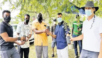 Massive tree-planting project for Parry Town - PressReader