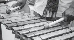 Madera de chonta o pambil y la influencia de la luna son esenciales en ...