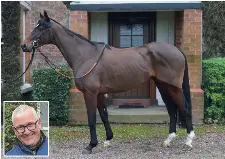 SPEED DAVIS - PressReader