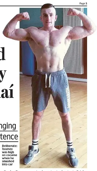 Drugged-up bodybuilde­r who rammed and seriously injured gardaí halts ...