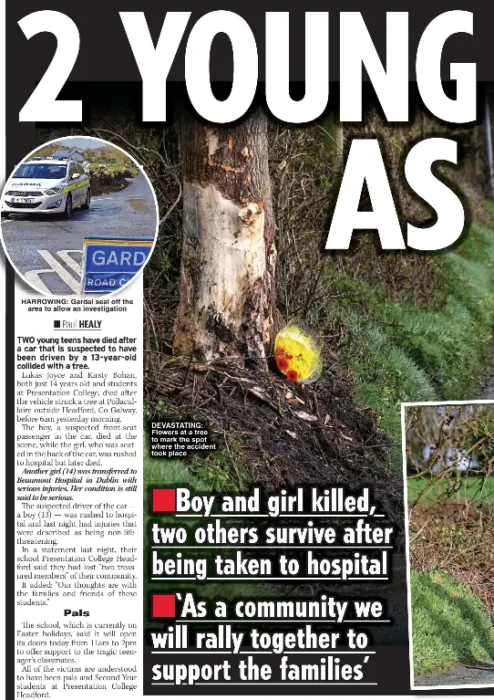 TWO TEENS DEAD IN SMASH - PressReader