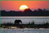 Best Zim safari destinatio­ns for wildlife, culture, history, natural wonders - PressReader