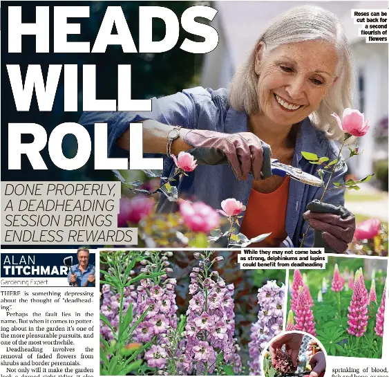 HEADS WILL ROLL - PressReader
