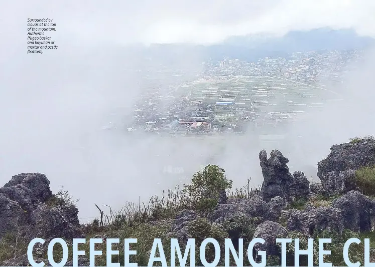 COFFEE AMONG THE CLOUDS - PressReader