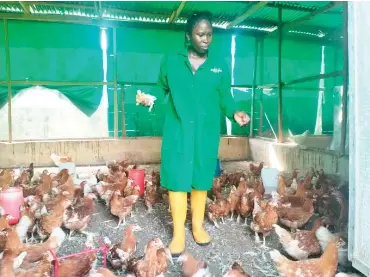 There is money in poultry but... – Female farmer - PressReader