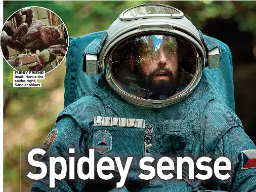 Spidey sense - PressReader