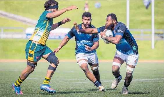 Swamp Foxes threat for home side - PressReader