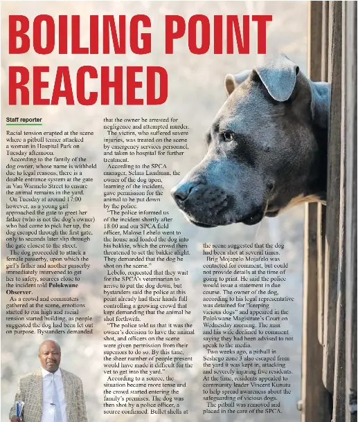 BOILING POINT REACHED - PressReader