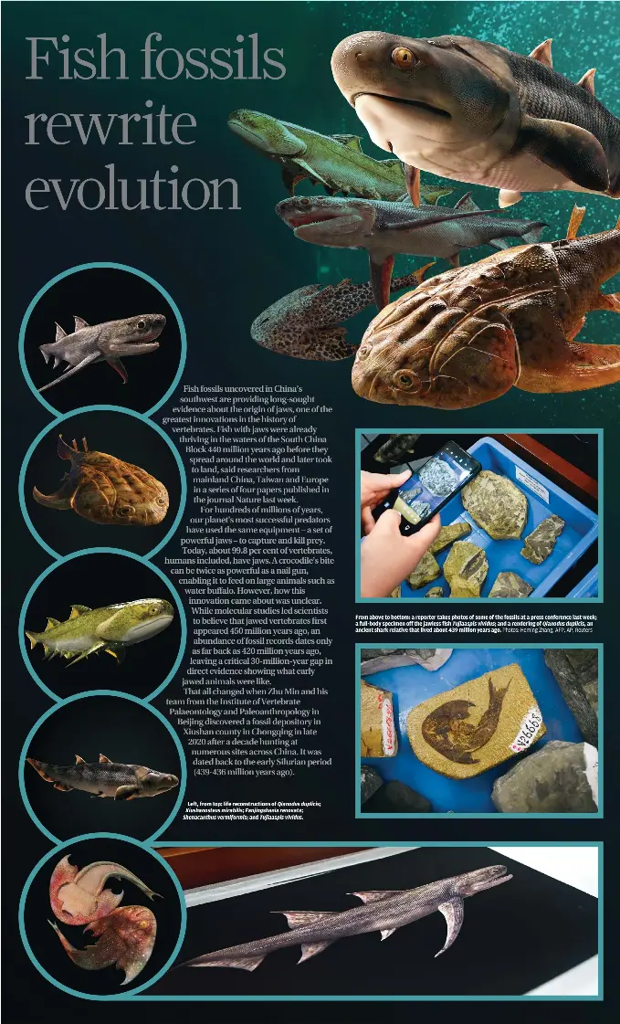 Fish fossils rewrite evolution - PressReader