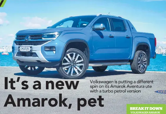 It’s a new Amarok, pet - PressReader