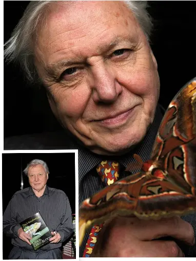 Sir David Attenborou­gh - PressReader