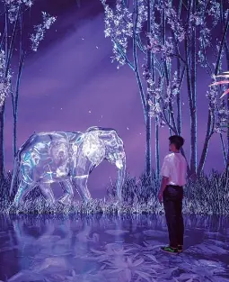 TAMING THE DIGITAL - PressReader