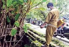 Kerala issues alert against West Nile fever - PressReader