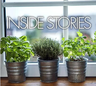 Alan Titchmarsh inside stories - PressReader