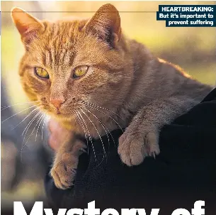 Mystery of sad farewell - PressReader