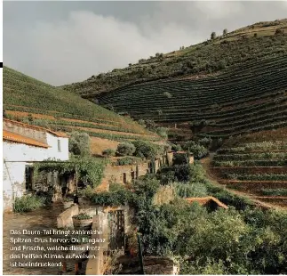 Portugal - Rotwein - PressReader