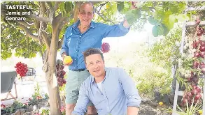 JAMIE COOKS ITALY - PressReader