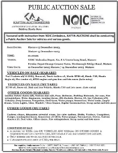 Make the most of festive spirit, business success - PressReader