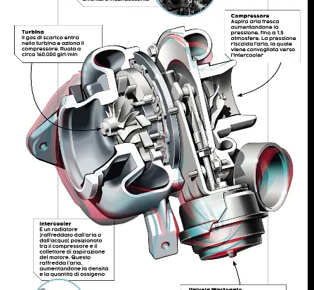 ANATOMIA DI UNA CHIOCCIOLA - PressReader