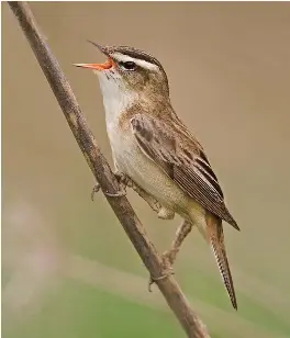 Basic Principles - PressReader