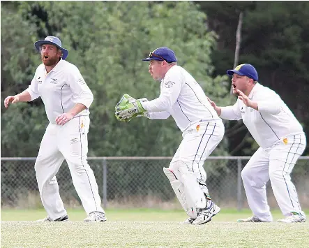 Traf domination - PressReader