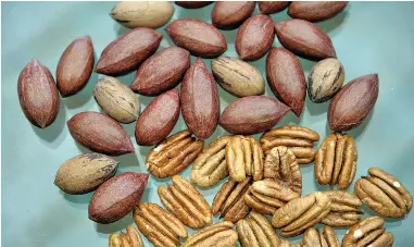 Pekanneute bring goeie geld vir aftrede - PressReader