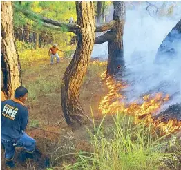 Wildfire destroys 1,000 hectares of Benguet forest - PressReader