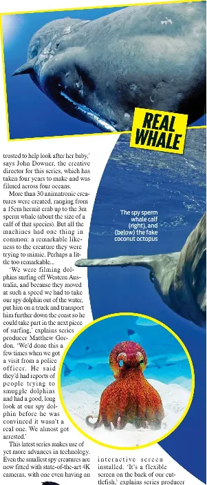 You’ll never believe this whale isn’t real - PressReader