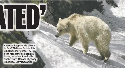 ‘DEVASTATED’ - PressReader