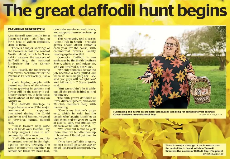 The great daffodil hunt begins - PressReader