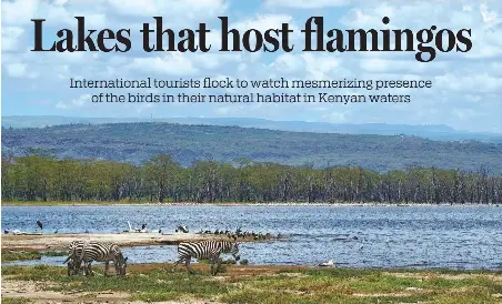 Lakes that host flamingos - PressReader