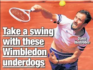 Take a swing with these Wimbledon underdogs - PressReader