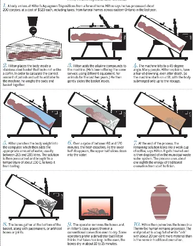 LIQUID CREMATION - PressReader