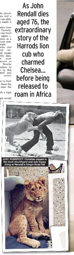 By Deborah Collcutt Farewell to the Mane Man of the King’s Road ...