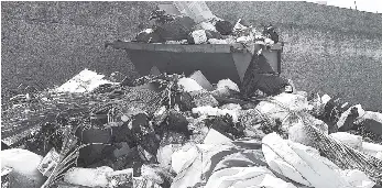 Calabar fears another rat infestatio­n - PressReader