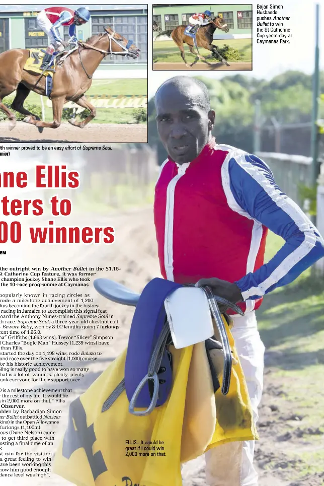 Shane Ellis canters to 1,200 winners - PressReader
