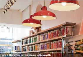 Tea company brewing up first city shop and six new jobs - PressReader