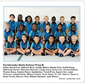 PressReader - The Queensland Times: 2017-03-22 - Fern­brooke State ...