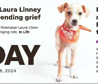 Pups tackle new roles as Puppy Bowl turns 20 - PressReader