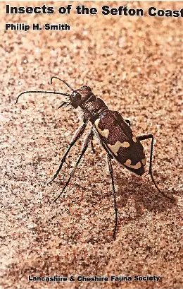 Vast array of Sefton coast insects found in new book - PressReader