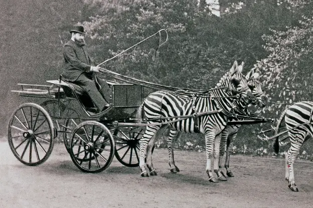 One man and his platypus - PressReader