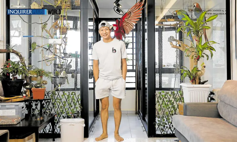 From no-frills to classy, Singapore’s public flats see transforma­tions - PressReader