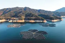 How floating solar panels are more effective in powering electric grids ...