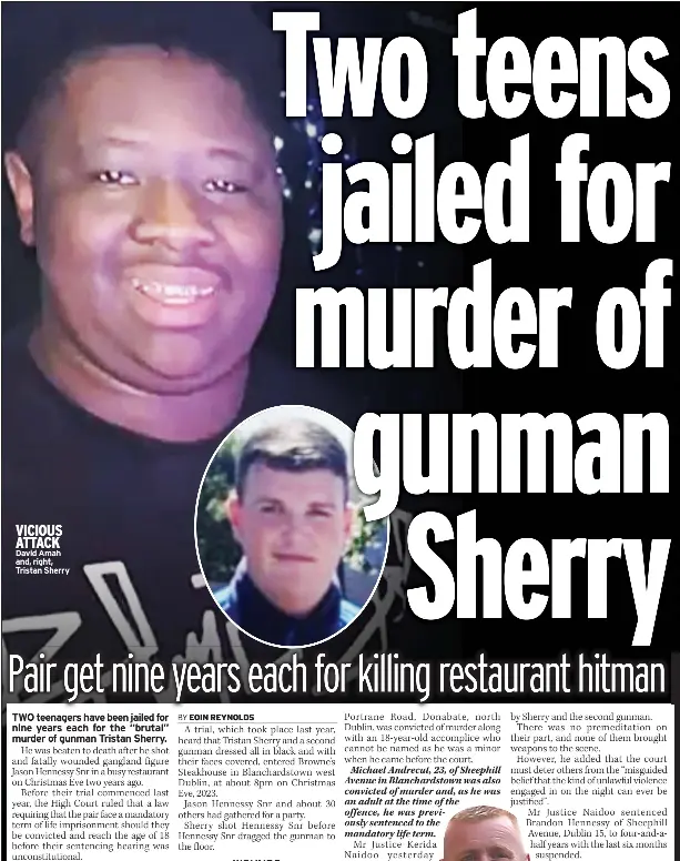 Pair get nine years each for killing restaurant hitman - PressReader