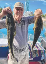 Offshore grounds delivering - PressReader