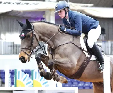 ‘He’s a special horse’ - PressReader