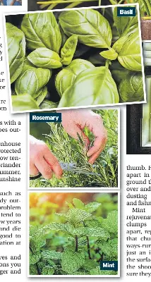 Chive talking - PressReader