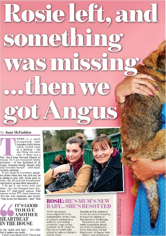 It’s puppy love! - PressReader