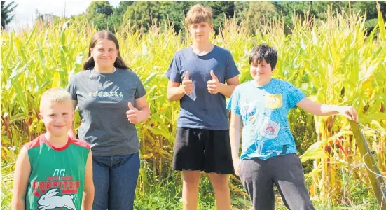 From fields to maize mazes - PressReader